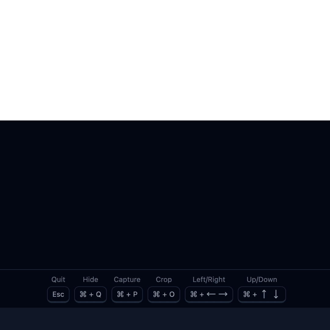 Undetectable Interview AI